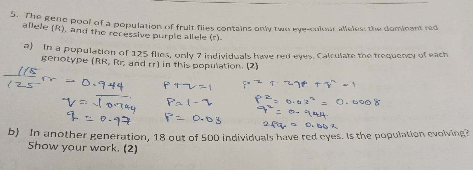 Solved: The gene pool of a population of fruit flies contains only two ...