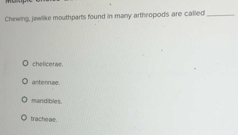 Solved: Mar Chewing, jawlike mouthparts found in many arthropods are ...