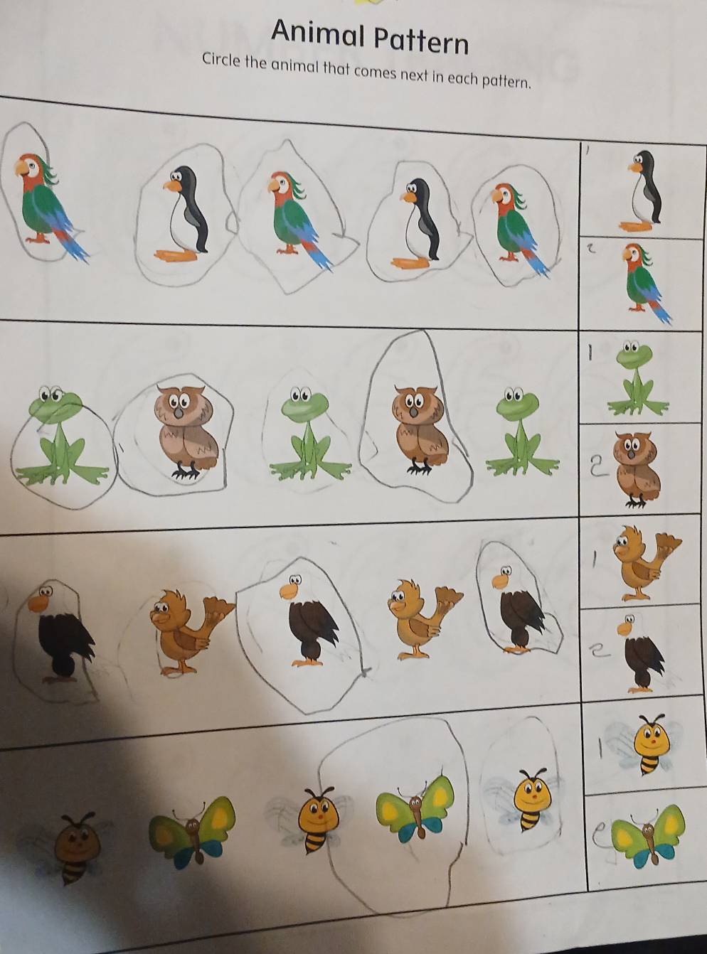 Solved: Animal Pattern Circle the animal that comes next in each ...