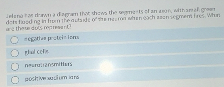 Solved: Jelena has drawn a diagram that shows the segments of an axon ...