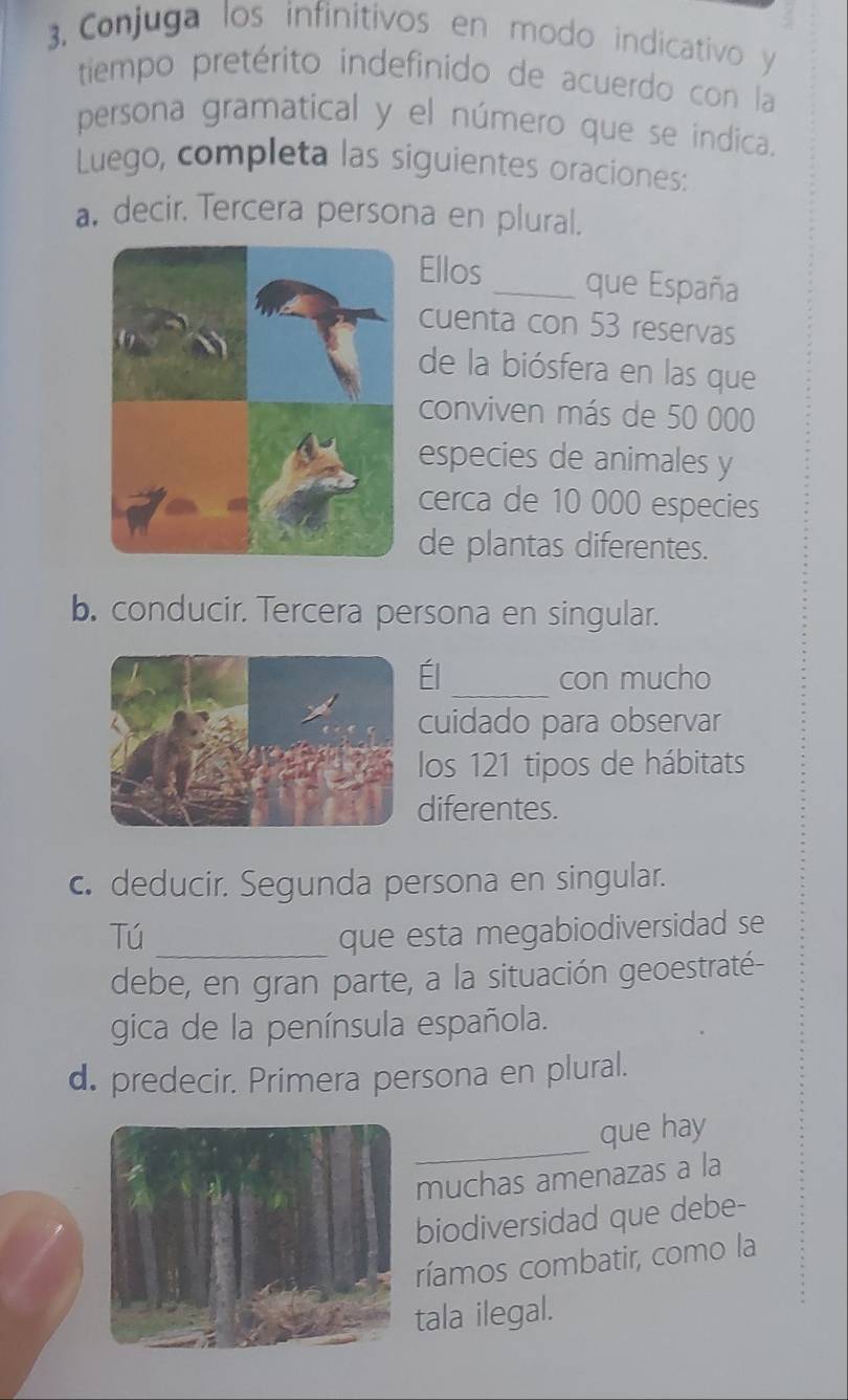 Resuelto:Conjuga los infinitivos en modo indicativo y tiempo pretérito ...