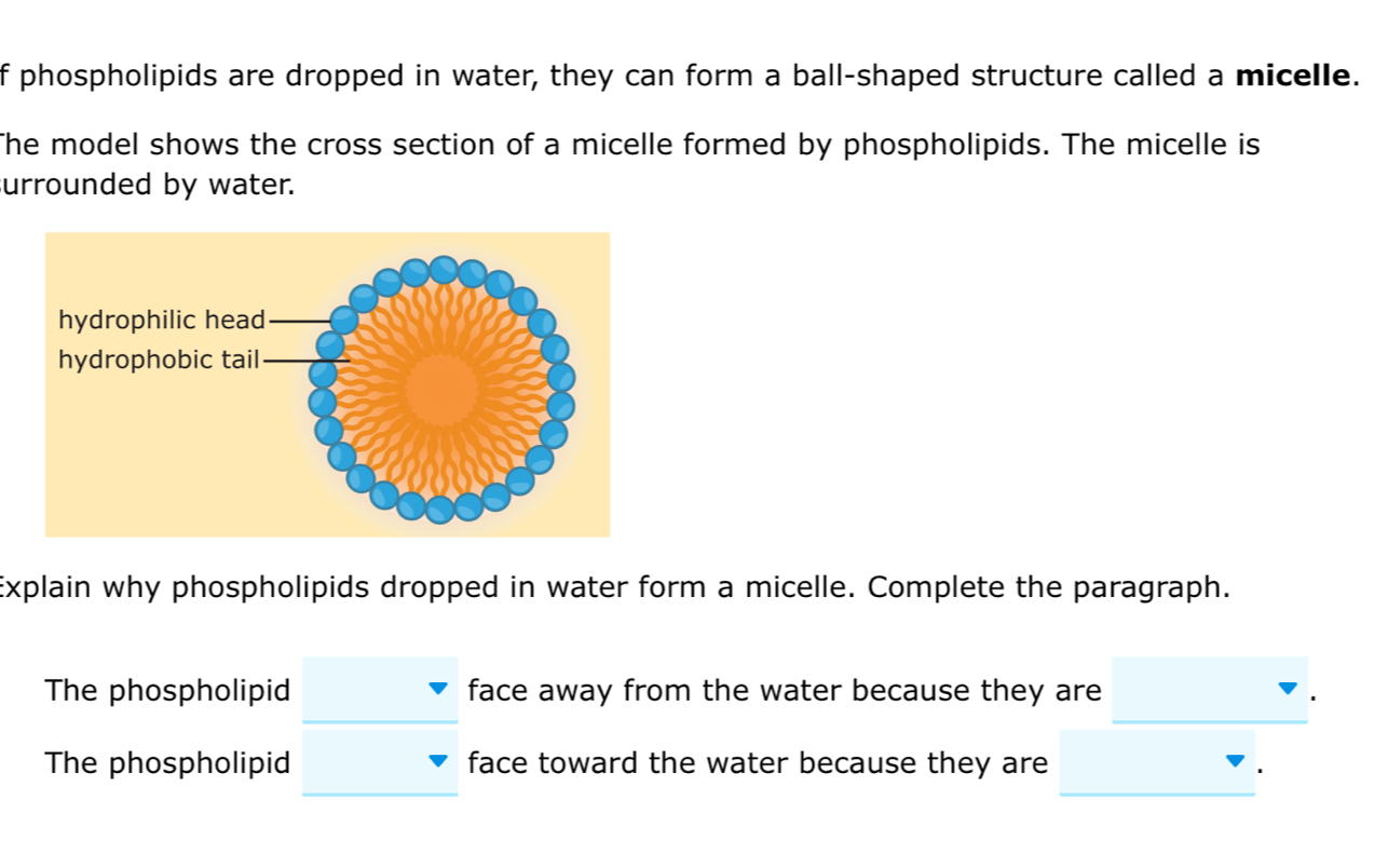 تم الحل:phospholipids are dropped in water, they can form a ball-shaped ...