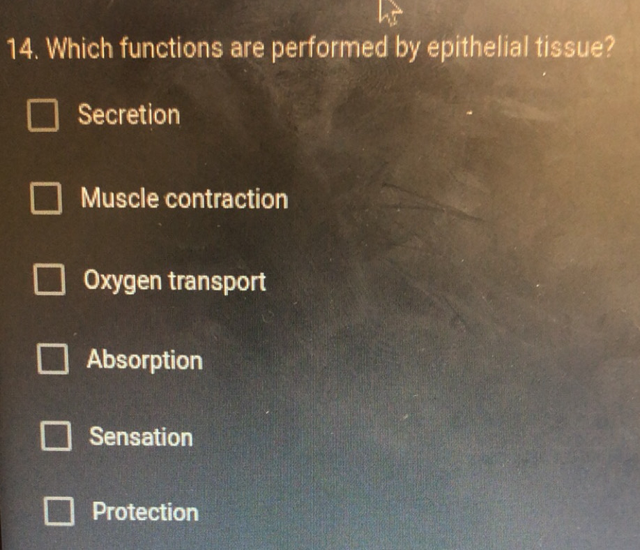 Solved: Which functions are performed by epithelial tissue? Secretion ...