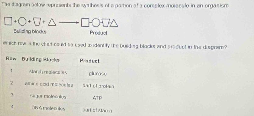 Solved: The diagram below represents the synthesis of a portion of a ...
