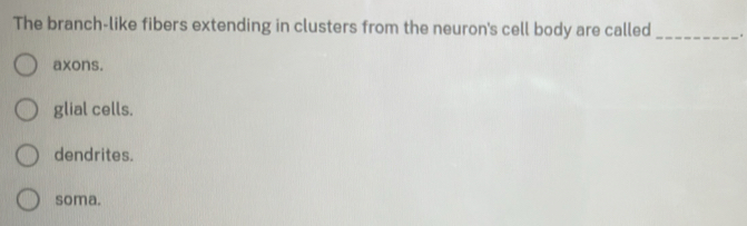 Solved: The branch-like fibers extending in clusters from the neuron's ...