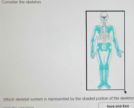 Solved: Consider the skeleton. Which skeletal system is represented by ...