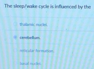Solved: The sleep/wake cycle is influenced by the thalamic nuclei ...