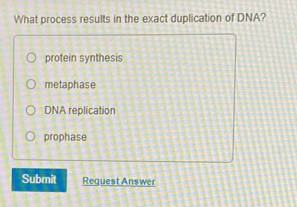 Solved: What process results in the exact duplication of DNA? protein ...