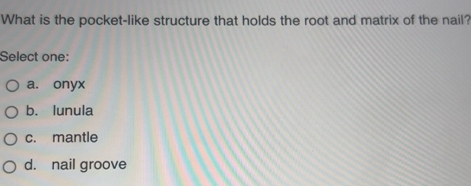 Solved: What is the pocket-like structure that holds the root and ...