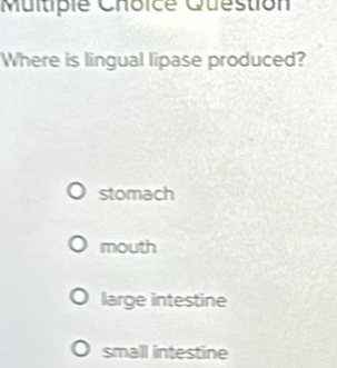 Solved: Question Where is lingual lipase produced? stomach mouth large ...