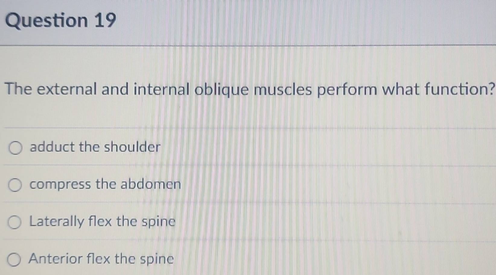 Solved: The external and internal oblique muscles perform what function ...