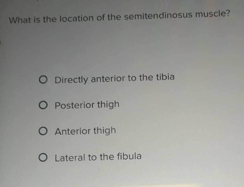 Solved: What is the location of the semitendinosus muscle? Directly ...