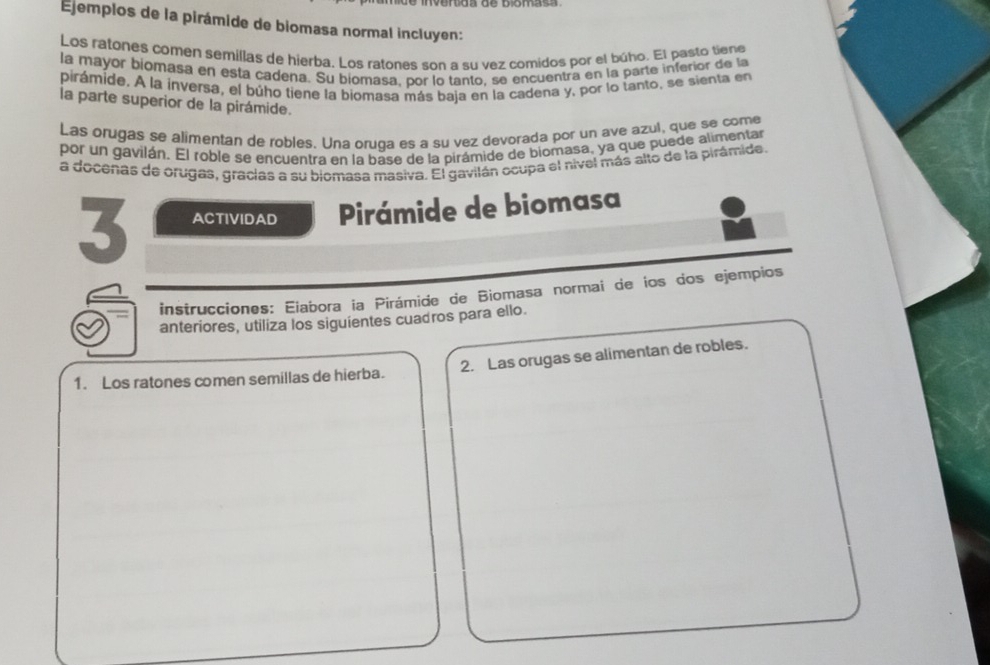 Resuelto:Ejemplos de la pirámide de biomasa normal incluyen: Los ...