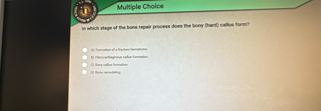 Solved: In which stage of the bone repair process does the bony (hard ...