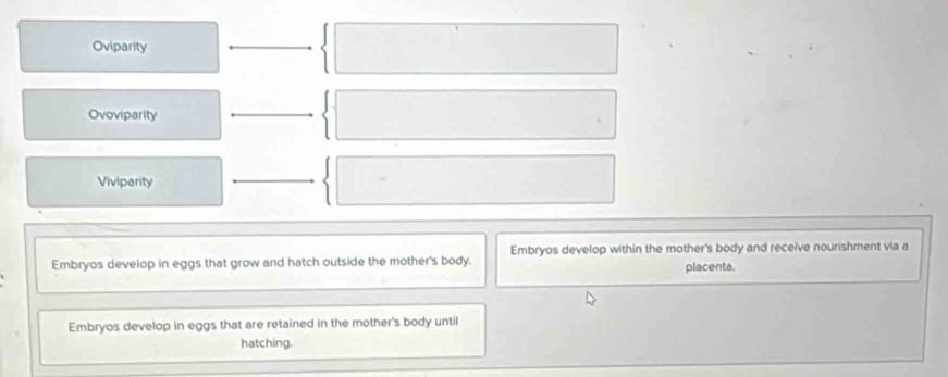 Solved: Oviparity Ovoviparity Viviparity Embryos develop in eggs that ...