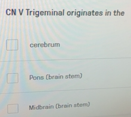 Solved: CN V Trigeminal originates in the cerebrum Pons (brain stem ...