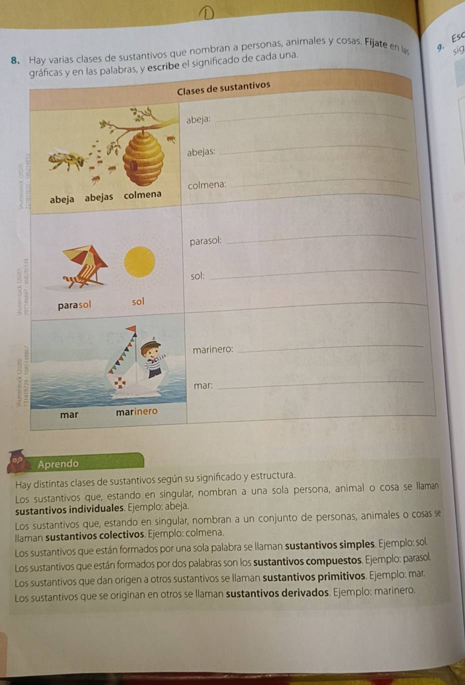 Resuelto:Esc 8.as clases de sustantivos que nombran a personas ...