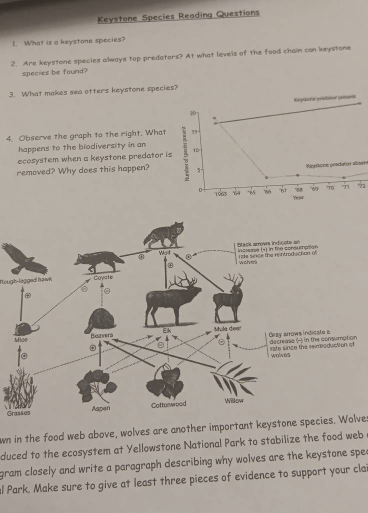 Solved: Keystone Species Reading Questions 1. What is a keystone ...