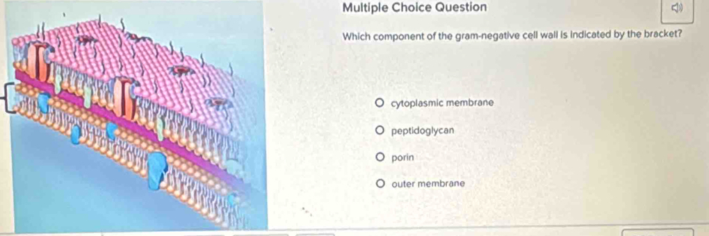 Solved: Question Which component of the gram-negative cell wall is ...