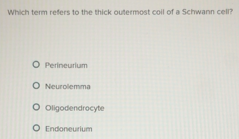 Solved: Which term refers to the thick outermost coil of a Schwann cell ...