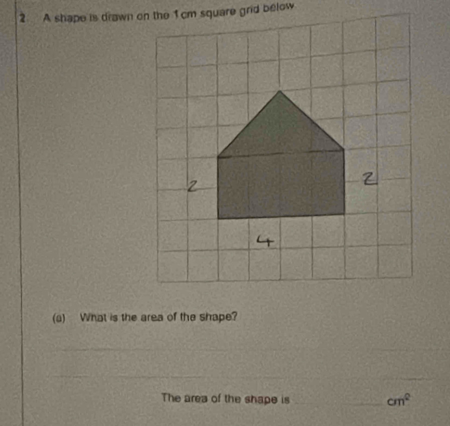 Solved: A shape is drawn on the 1cm square grid below (a) What is the ...