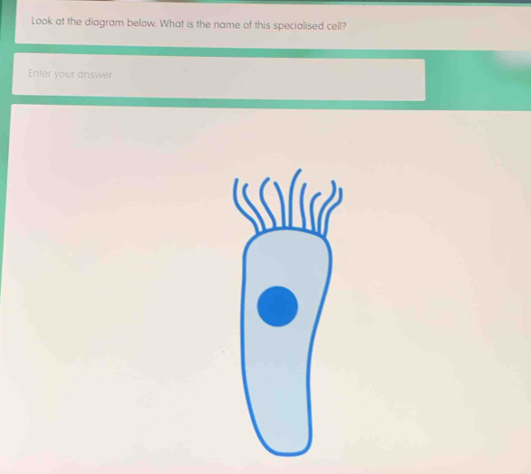 Solved: Look at the diagram below. What is the name of this specialised cell? Enter your answer ...