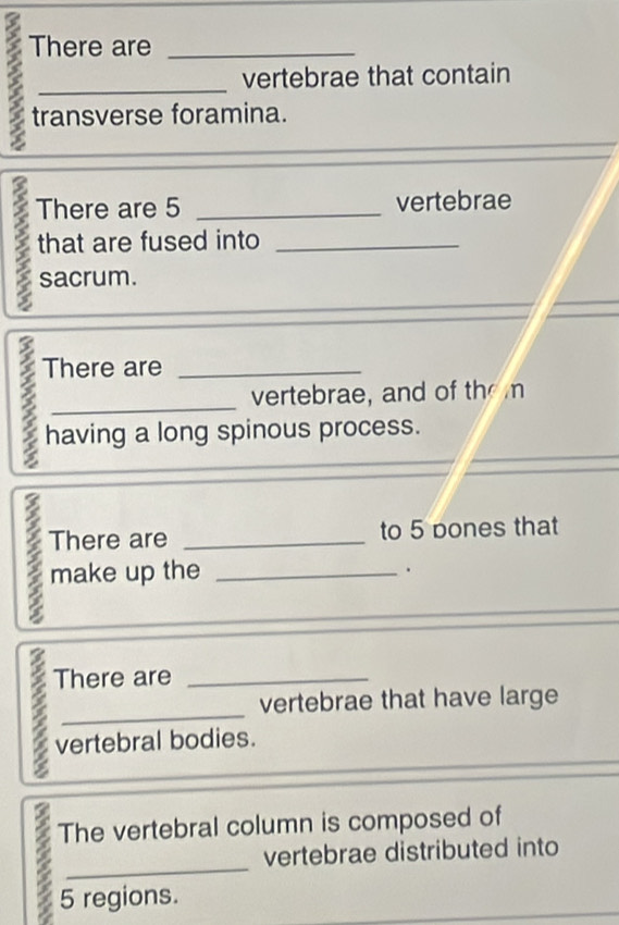 Solved: There are_ _ vertebrae that contain transverse foramina. There ...