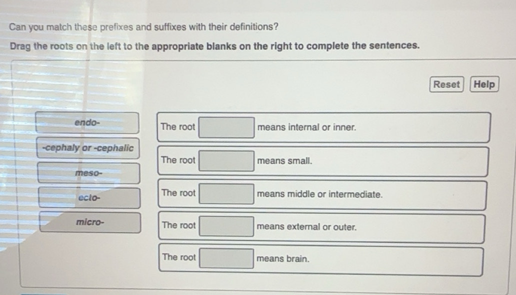 Solved: Can you match these prefixes and suffixes with their ...