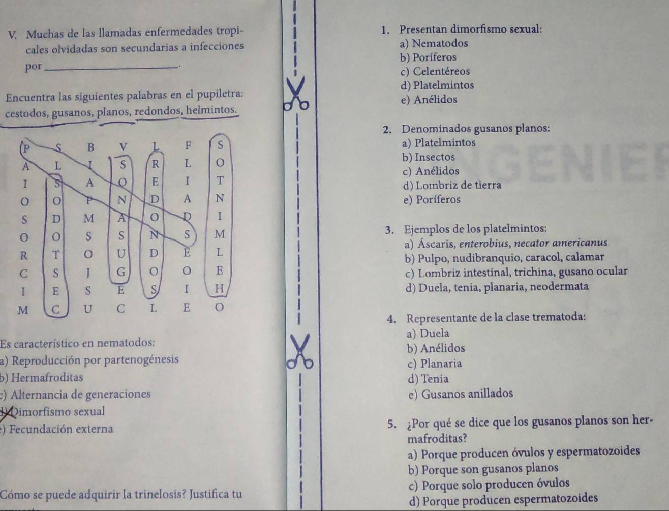 Resuelto:Muchas de las llamadas enfermedades tropi- 1. Presentan ...