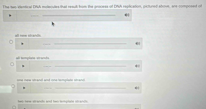 Solved: The two identical DNA molecules that result from the process of ...