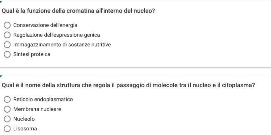 Risolto:Qual è la funzione della cromatina all'interno del nucleo ...