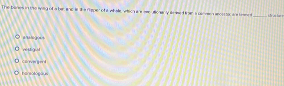 Solved: The bones in the wing of a bat and in the flipper of a whale ...