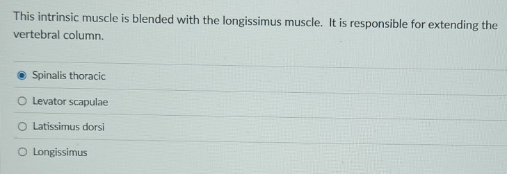 Solved: This intrinsic muscle is blended with the longissimus muscle ...