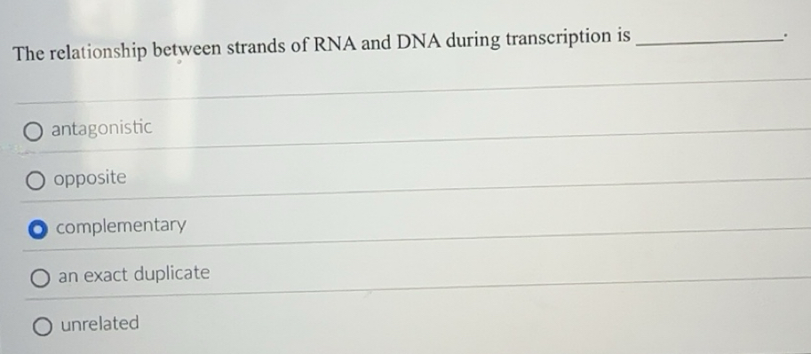 Solved: The relationship between strands of RNA and DNA during ...