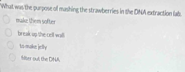 Solved: What was the purpose of mashing the strawberries in the DNA ...
