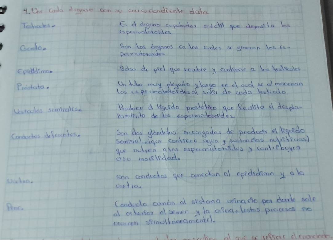 Resuelto:One coda digano can so carcopondicnte dafa Techiccles. G d ...