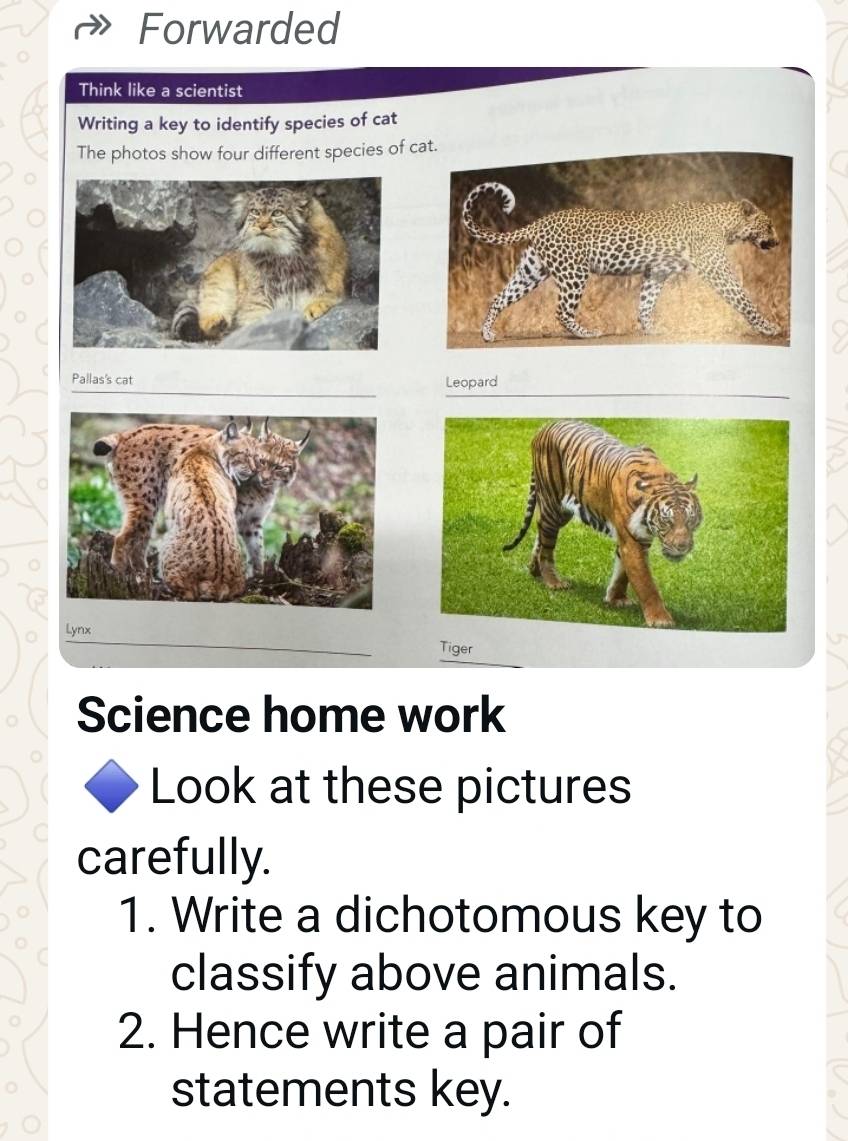 Risolto:Forwarded Think like a scientist Writing a key to identify ...