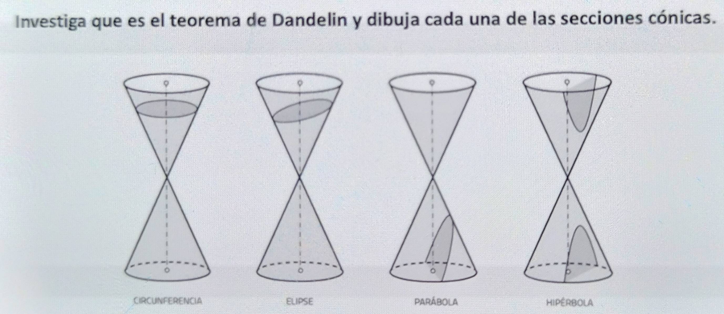 Resuelto:Investiga que es el teorema de Dandelin y dibuja cada una de ...