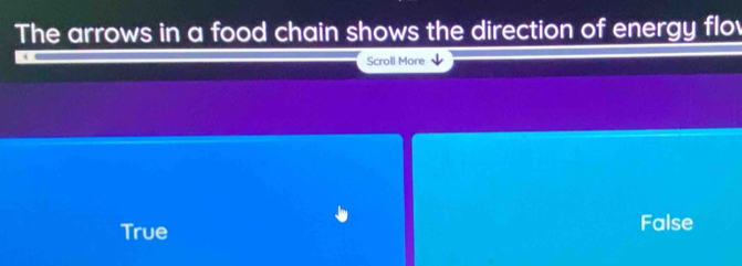 Solved: The arrows in a food chain shows the direction of energy flo ...