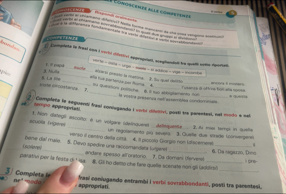 Risolto:Le conoscenze alle competenze CONoscenzE It verbo Rispondi ...