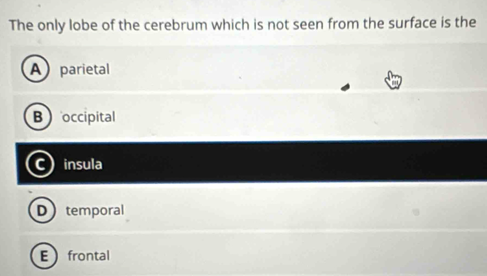 Solved: The only lobe of the cerebrum which is not seen from the ...