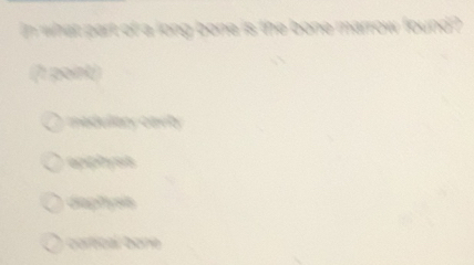Solved: in what part of a long bone is the bone marrow found ? (1 point ...