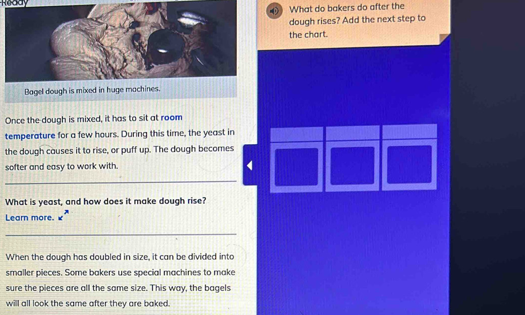 Solved: Ready What do bakers do after the dough rises? Add the next ...