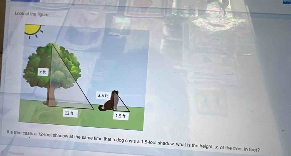 Solved: Look at the figure. lf a tree casts a 12-foot shadow at the ...