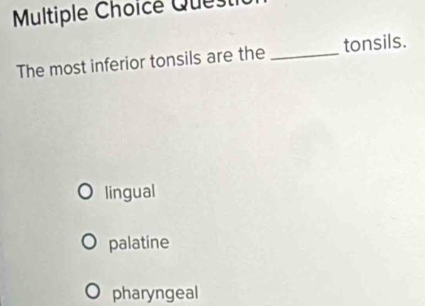 Solved: Multiple Choicé Quest The most inferior tonsils are the ...