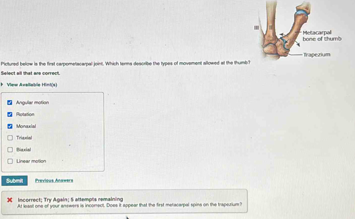 Solved: Pictured below is the first carpometacarpal joint. Which terms ...