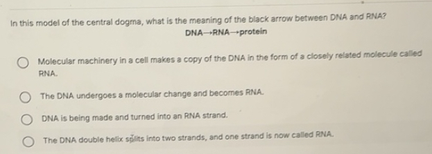 Solved: In this model of the central dogma, what is the meaning of the ...