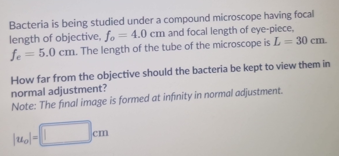 Solved: Bacteria is being studied under a compound microscope having ...