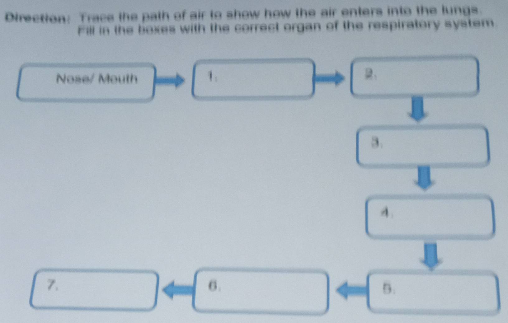 Solved: Direction: Trace the path of air to show how the air enters ...
