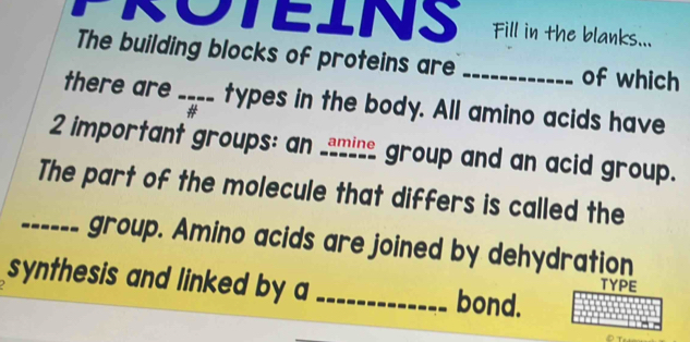 Solved: OTEINS Fill in the blanks... The building blocks of proteins ...